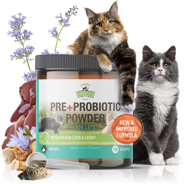Pre + Probiotic Powder for Cats, 4.2 oz, 5 Billion CFUs per scoop with ...
