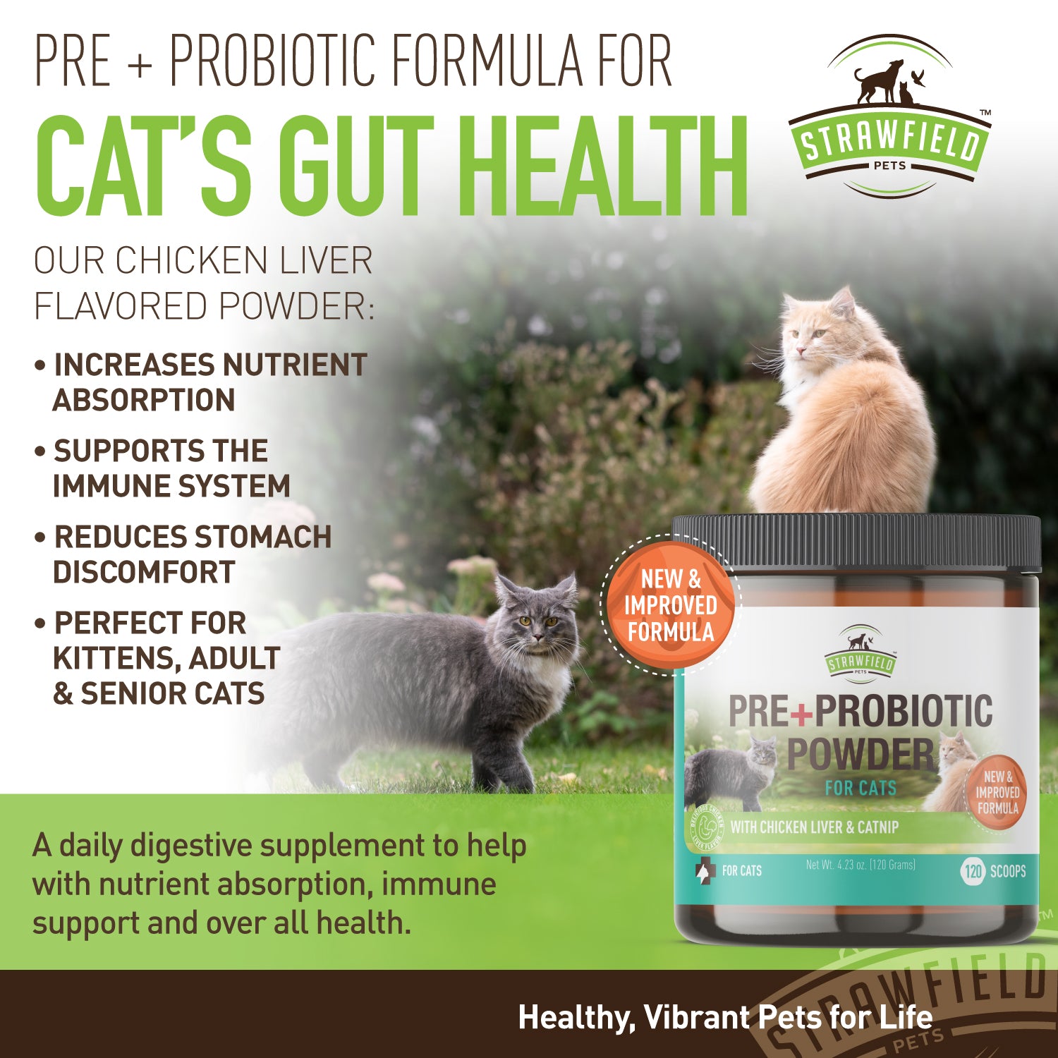 Pre + Probiotic Powder for Cats, 4.2 oz, 5 Billion CFUs per scoop with ...