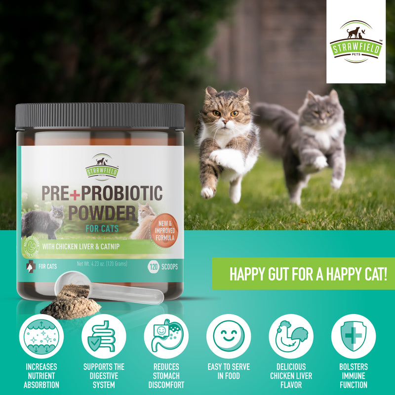 Pre + Probiotic Powder for Cats, 4.2 oz, 5 Billion CFUs per scoop with ...