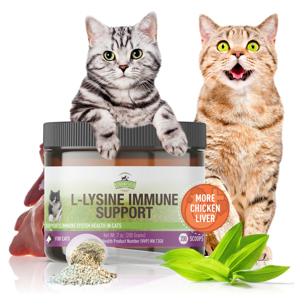 L-Lysine Immune Support for Cats - 900mg Per Included Scoop - 7oz(200g ...